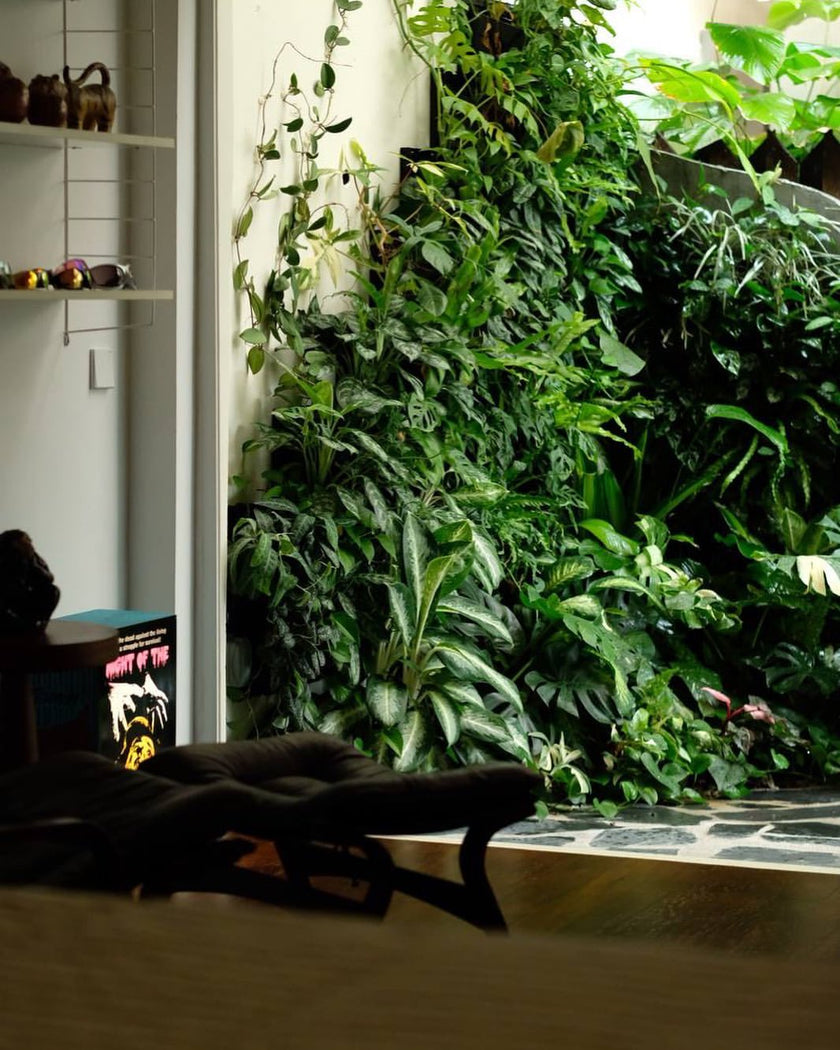 BILDA - The Discover Kit