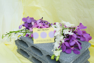 BILDA - The Discover Kit